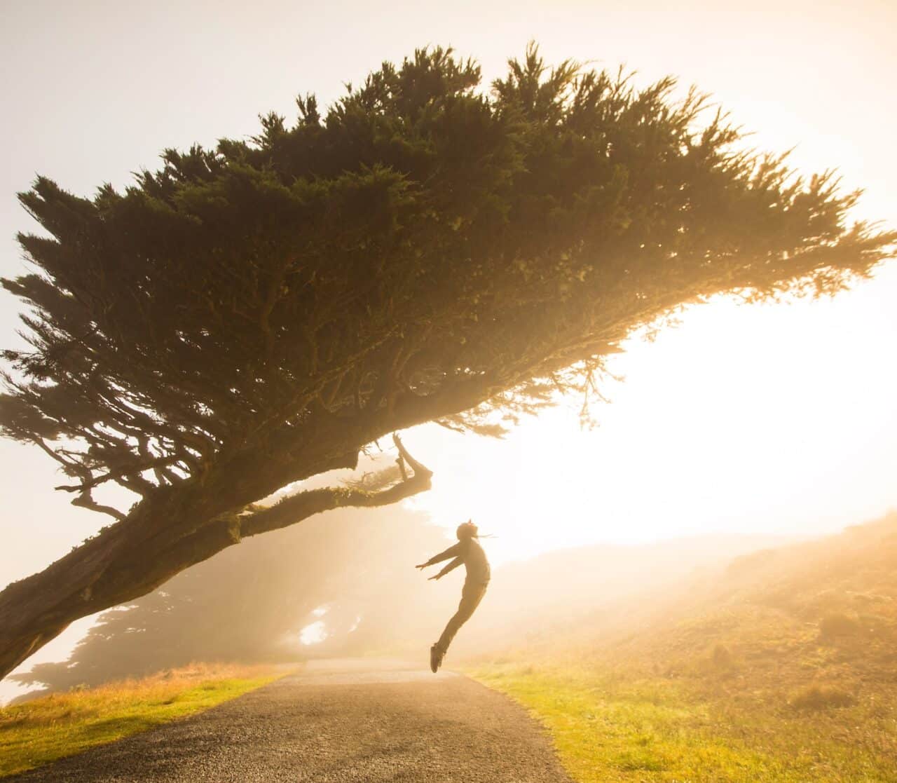 How to Build Intrinsic Motivation | Steve Rose, PhD
